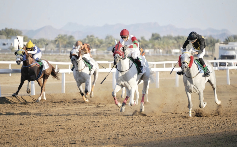 جريدة عمان | نادي الخيل السلطاني يسدل الستار على سباقات الخيل بالرحبة