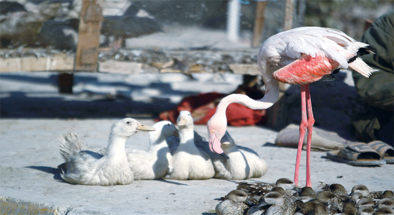 - الموقع الرسمي لجريدة عمان