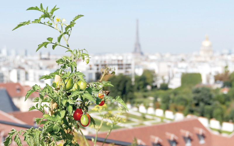 - الموقع الرسمي لجريدة عمان