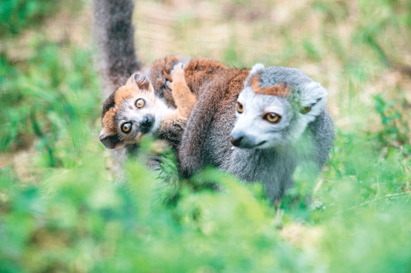 - الموقع الرسمي لجريدة عمان