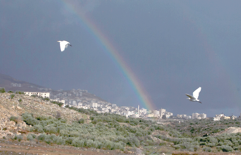 - الموقع الرسمي لجريدة عمان