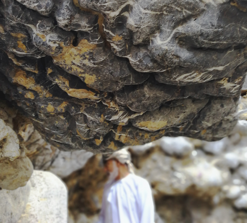 - الموقع الرسمي لجريدة عمان