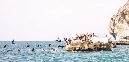 - الموقع الرسمي لجريدة عمان