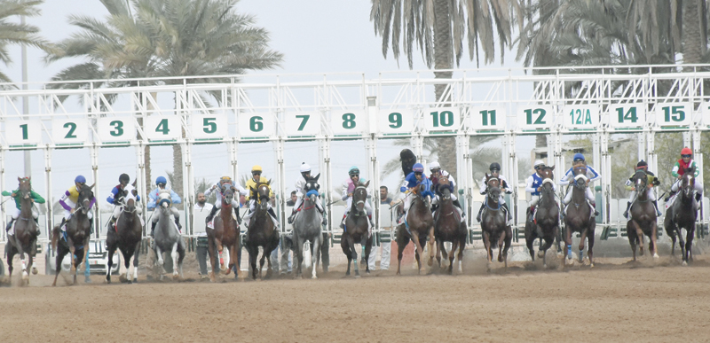 «هاتريك» مثير يدشن السباق الأول لنادي سباق الخيل السلطاني - الموقع ...