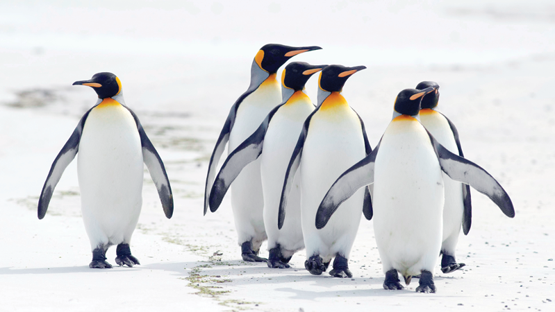 - الموقع الرسمي لجريدة عمان